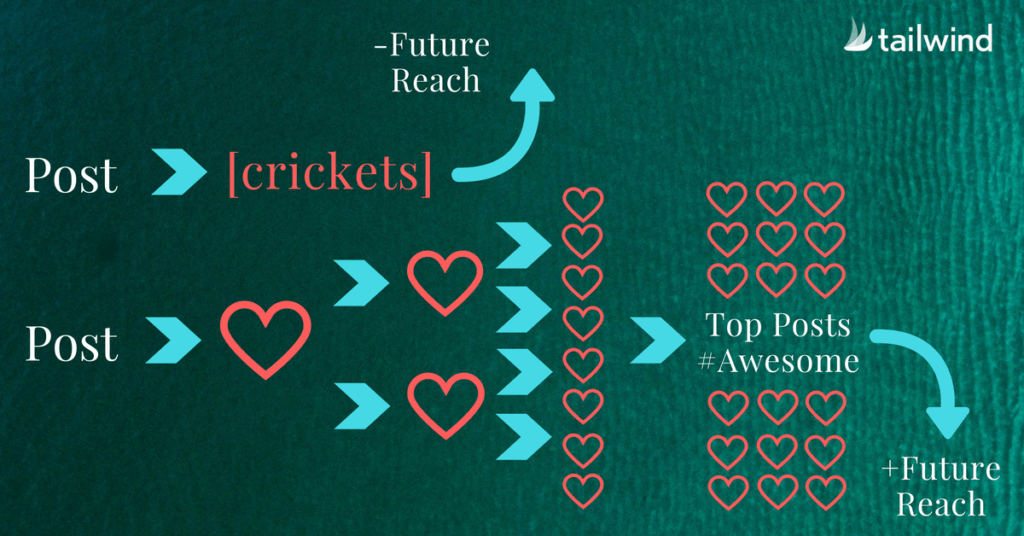 How to Get More Instagram Likes - The Dos and Don'ts