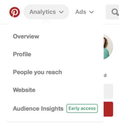 Pinterest Audience Insights - What Are They and How Can I Use Them?