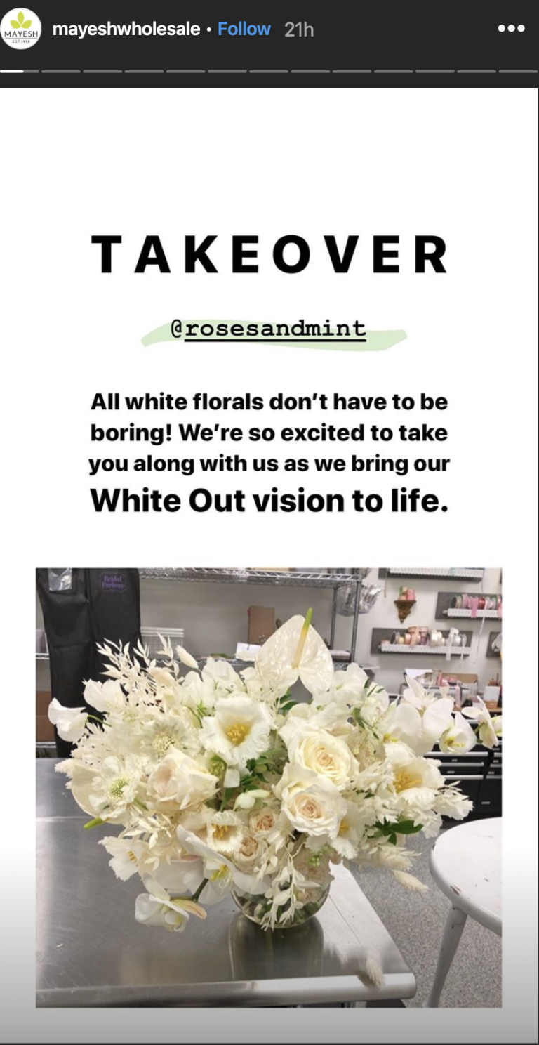 How to Do an Instagram Takeover Successfully in 6 Steps | Tailwind App