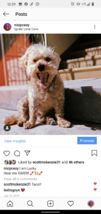 15 Cute Instagram Picture Ideas To Liven Up Your Feed