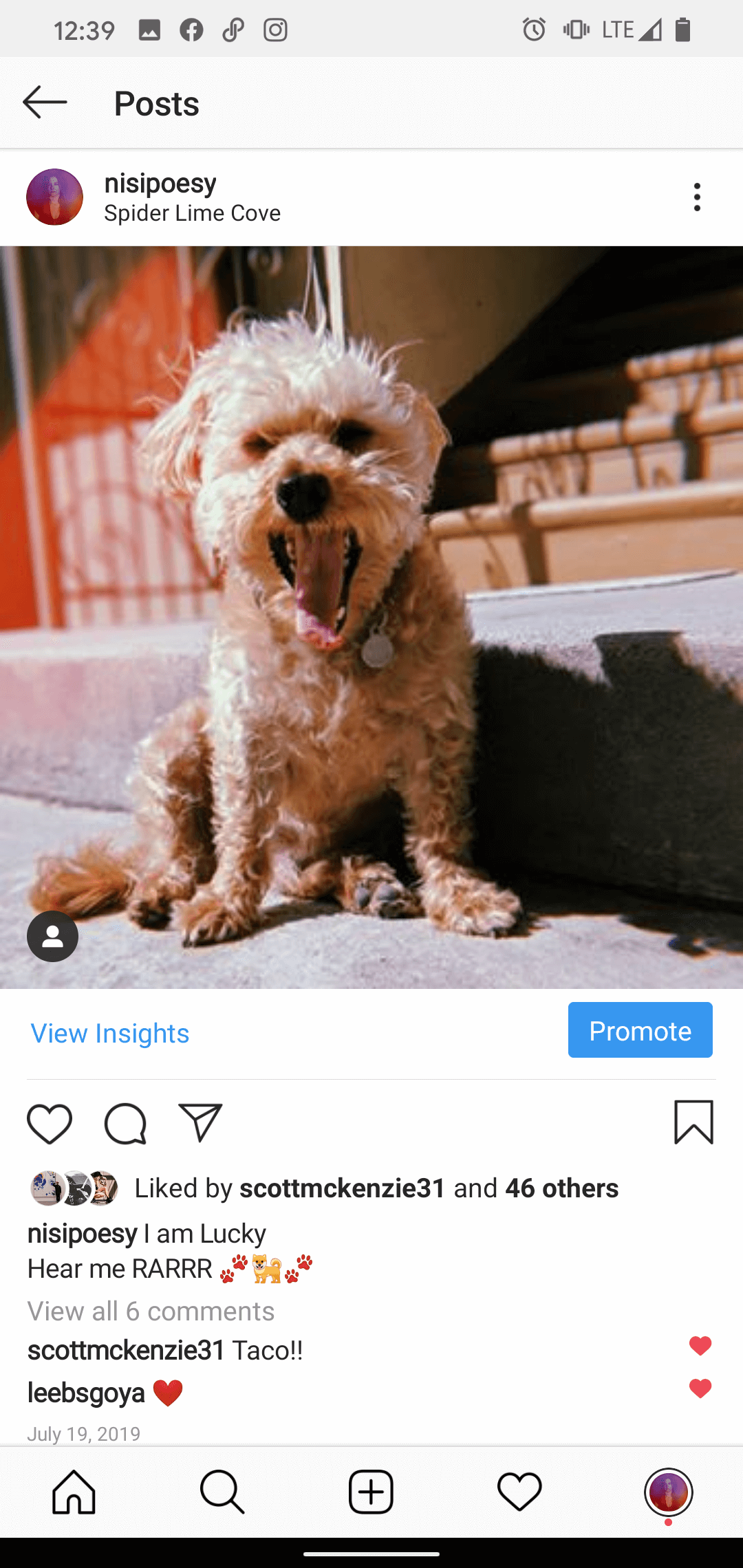 15 Cute Instagram Picture Ideas To Liven Up Your Feed