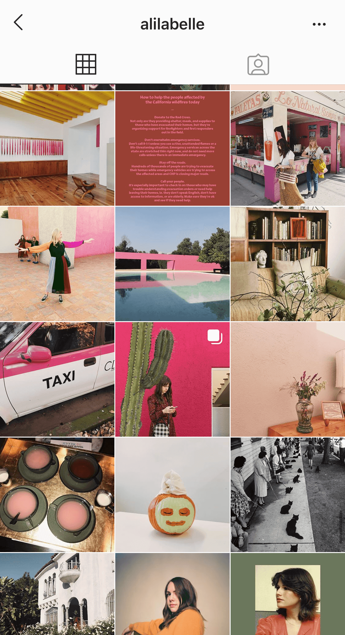 How to Change Your Instagram Theme (The Easy Way!) | Tailwind App