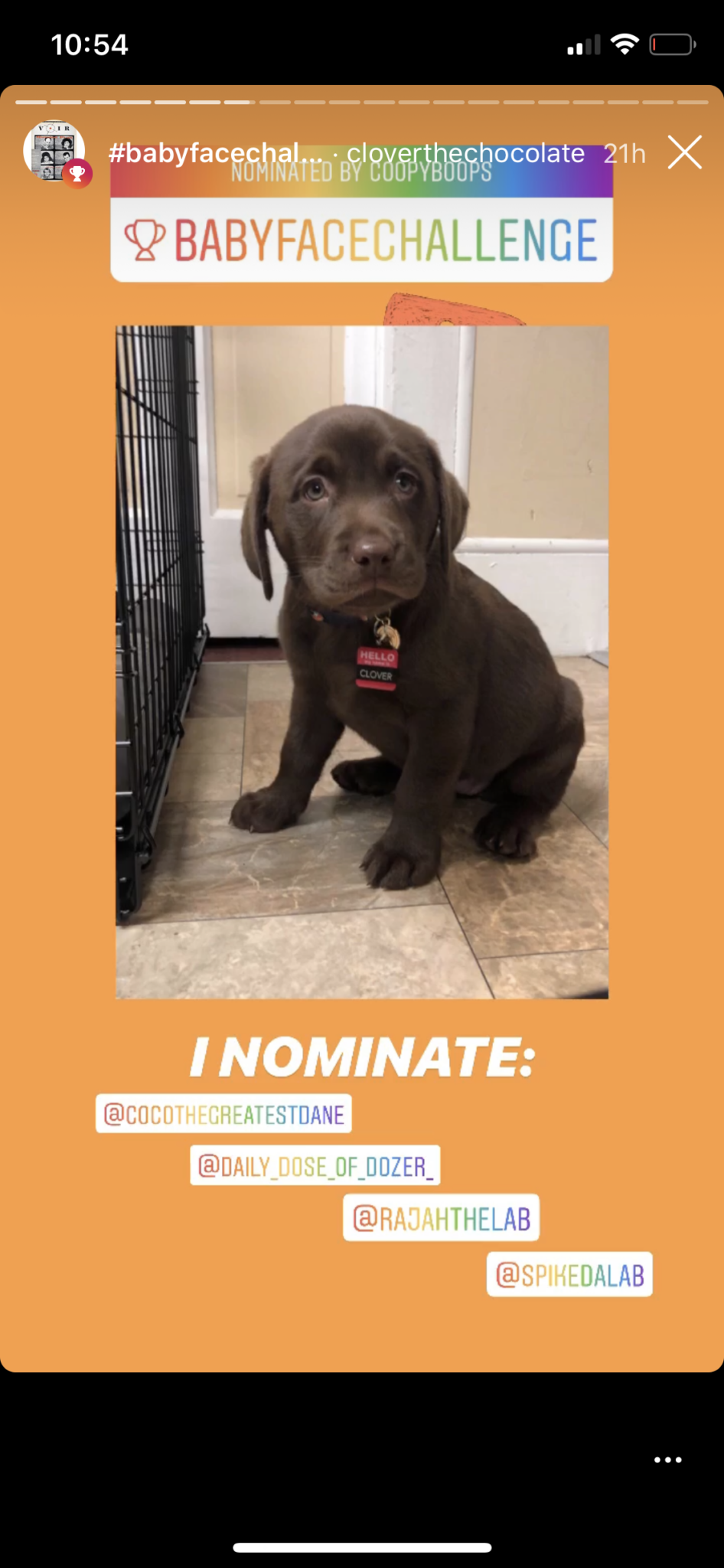 NEW Instagram Challenges Sticker (+ 11 Instagram Story Challenges!)