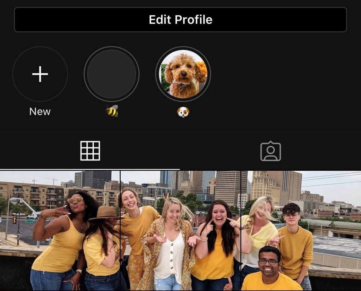 The Best Free Instagram Photo Split Tools For an Engaging Feed | Tailwind