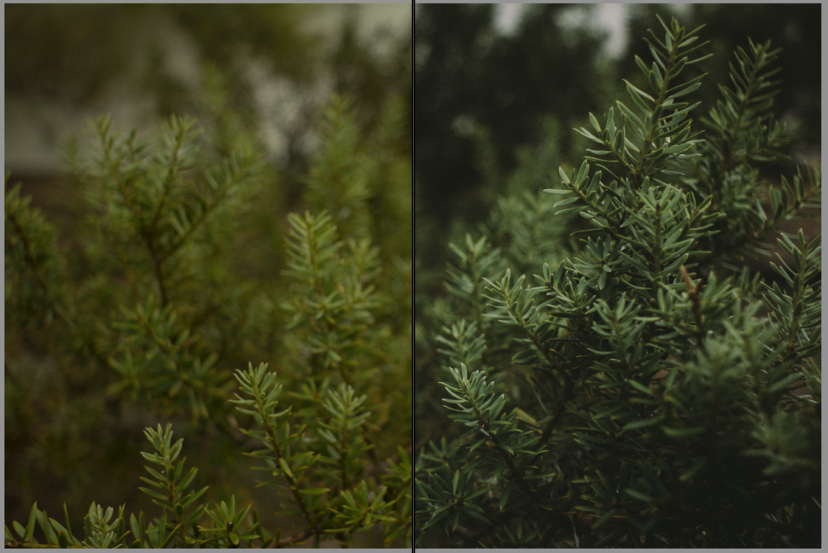 How to Master Basic Photo Editing in 6 Steps | Tailwind App