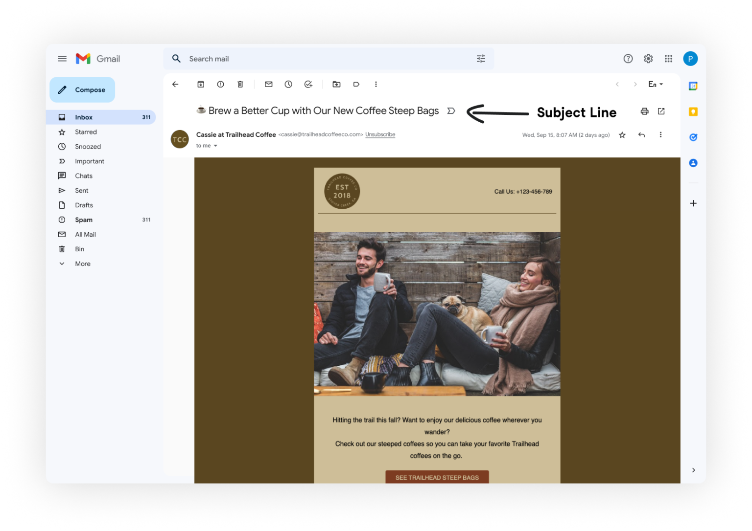 Write Email Subject Lines That Get Opened (+ Examples)