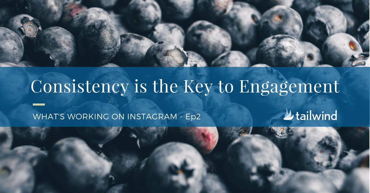 Consistency is the Key to Higher Engagement on Instagram - What's ...