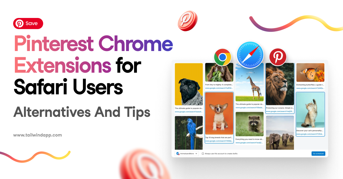 Pinterest Chrome Extension for Safari Users: Better Alternatives and ...